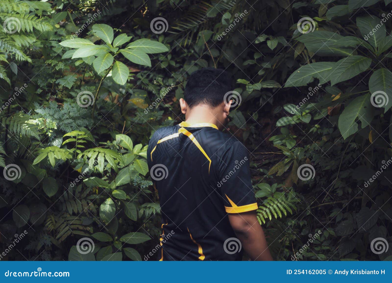 A Man, Alone in a Lush Forest Stock Image - Image of autumn, journey ...