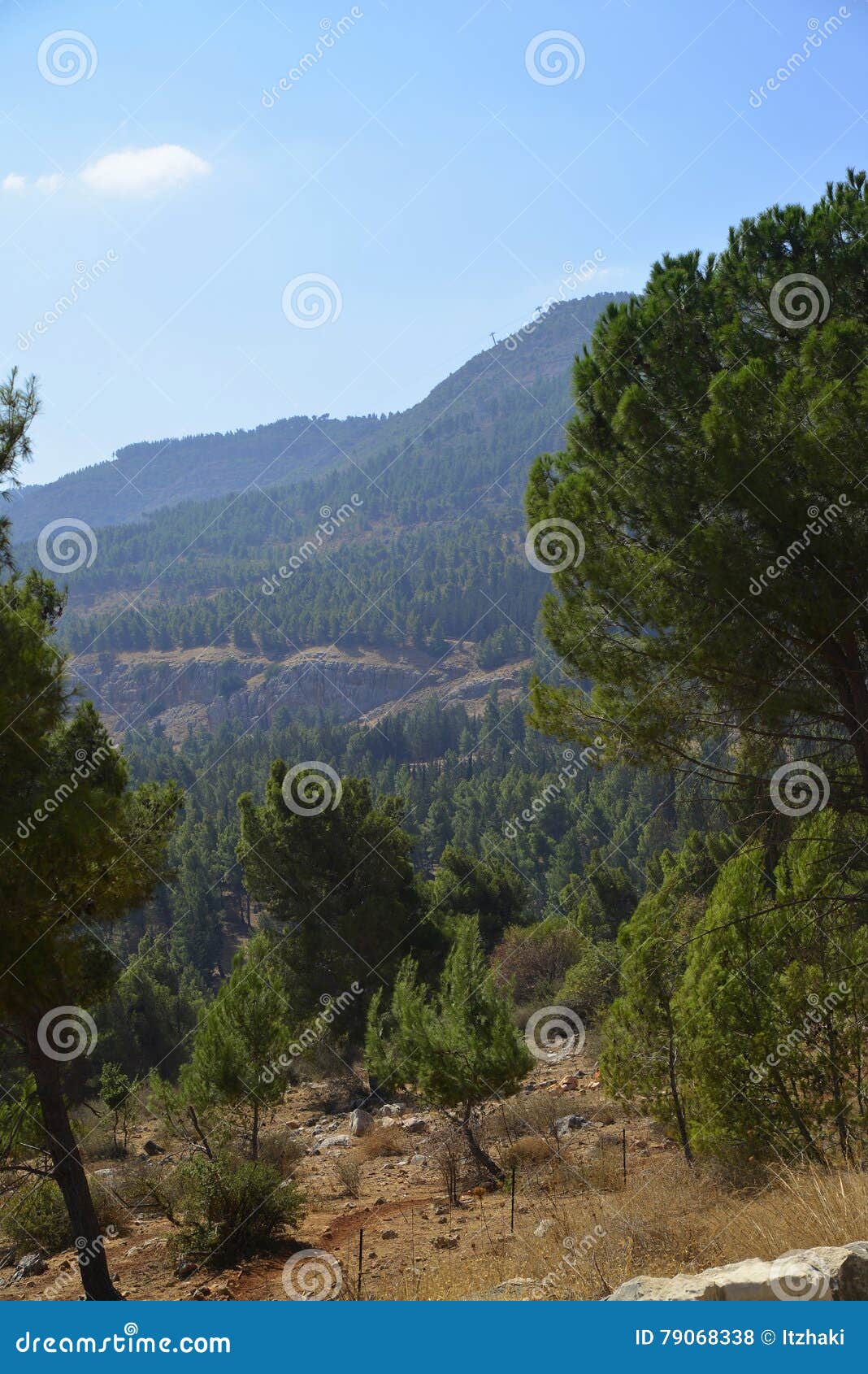 View on Manara Cliff stock photo. Image of nature, pasture - 79068338