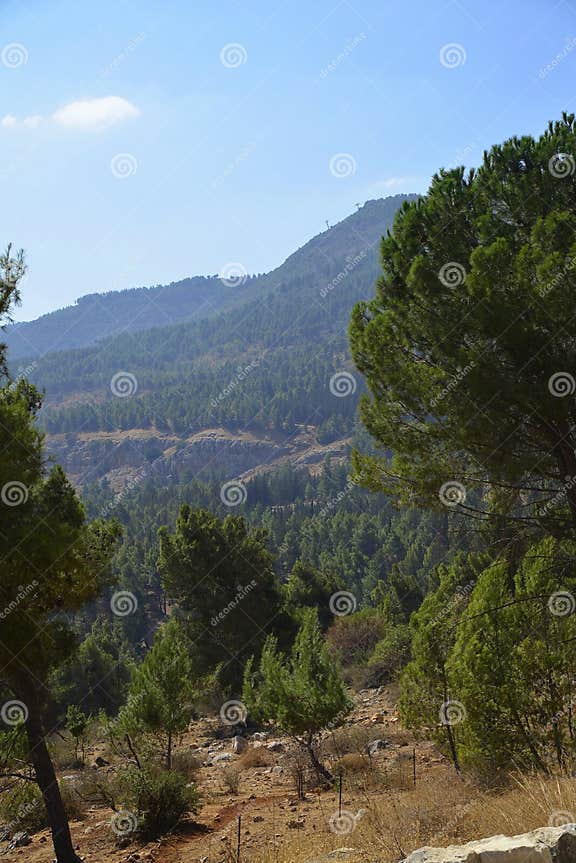 View on Manara Cliff stock photo. Image of nature, pasture - 79068338