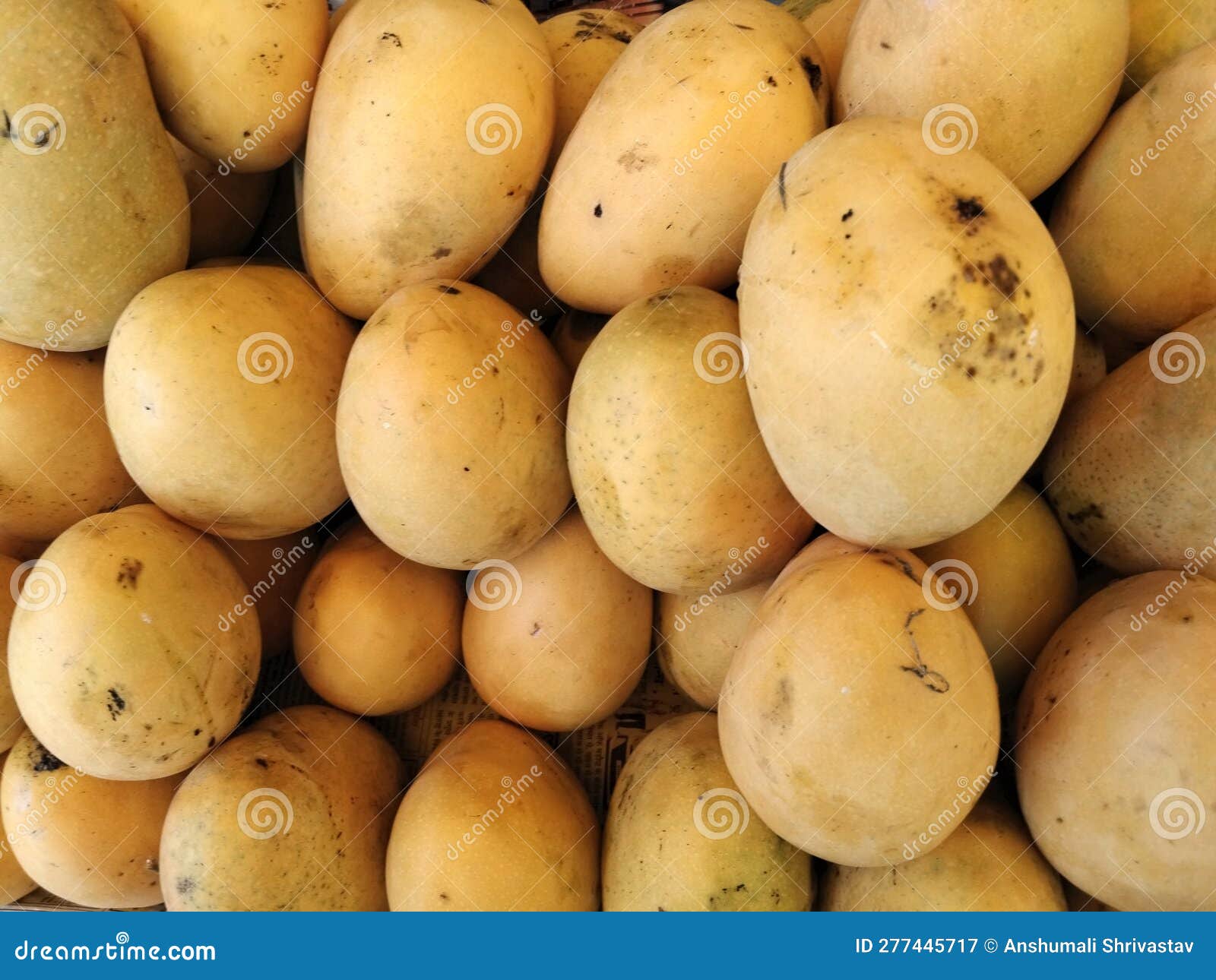 View of Mango Fruit Kept Well Stocked Stock Image - Image of closeup ...