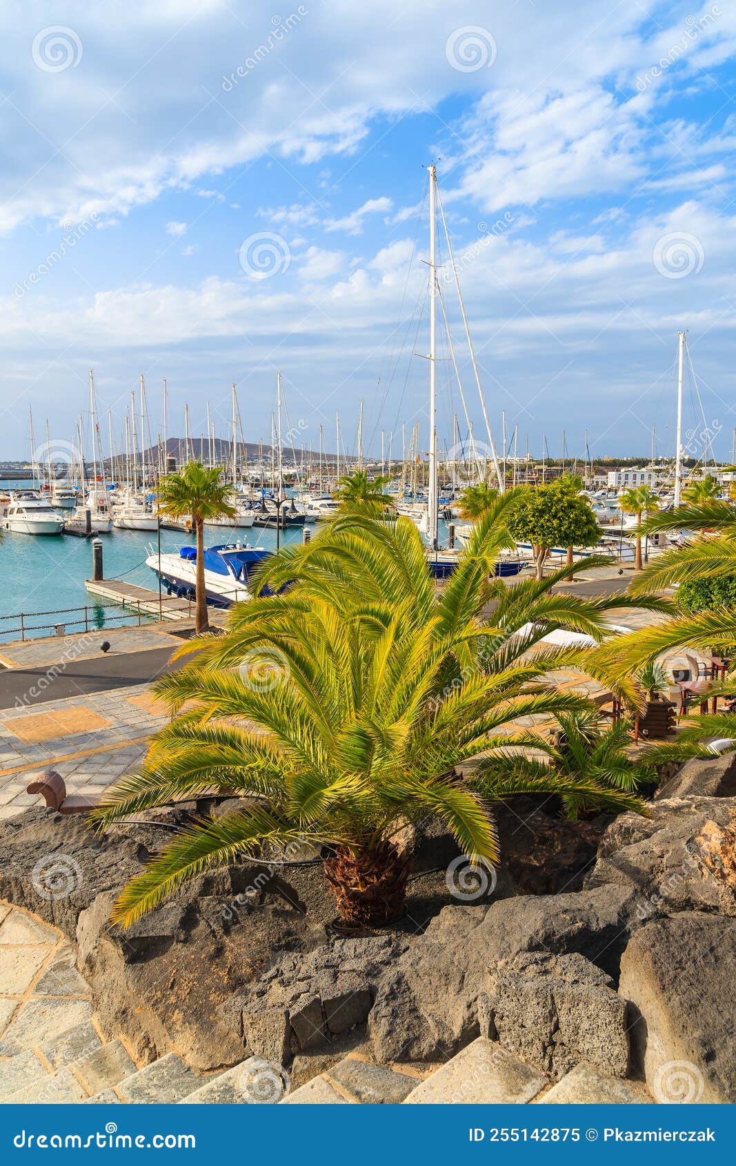 View of marina Rubicon stock image. Image of promenade - 255142875 View of marina Rubicon stock image. Image of promenade - 255142875