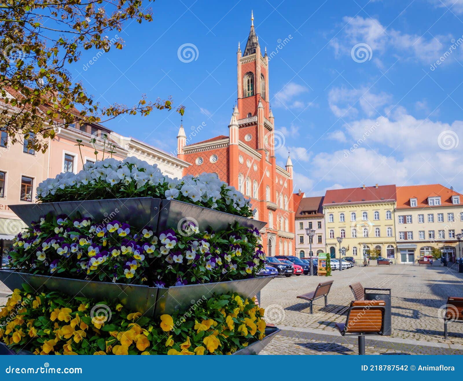 View of the Market Square and Town Hall of Kamenz in Spring Editorial ...