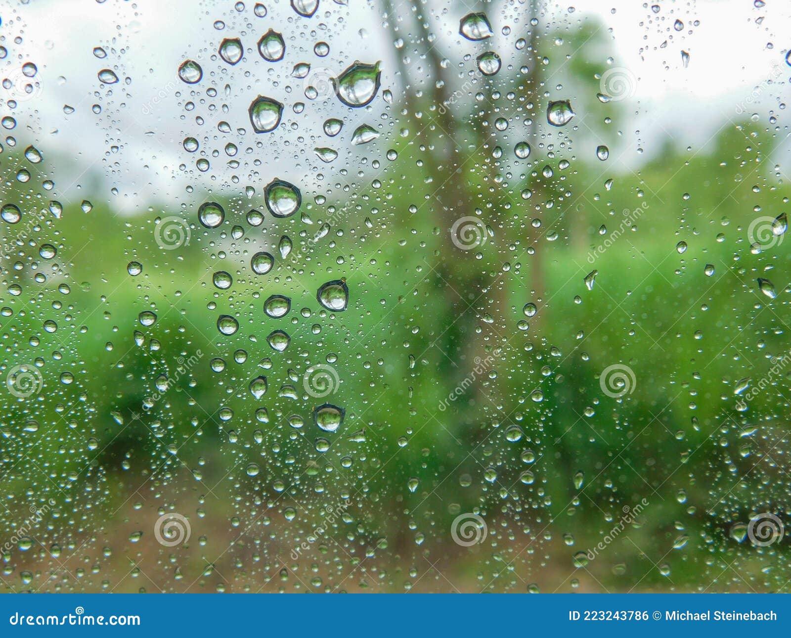 Clearing up after the rain stock photo. Image of light - 223243786