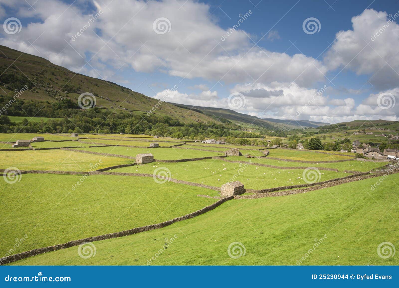 View of Meadows, Gunnerside, Swaledale Stock Photo - Image of park ...