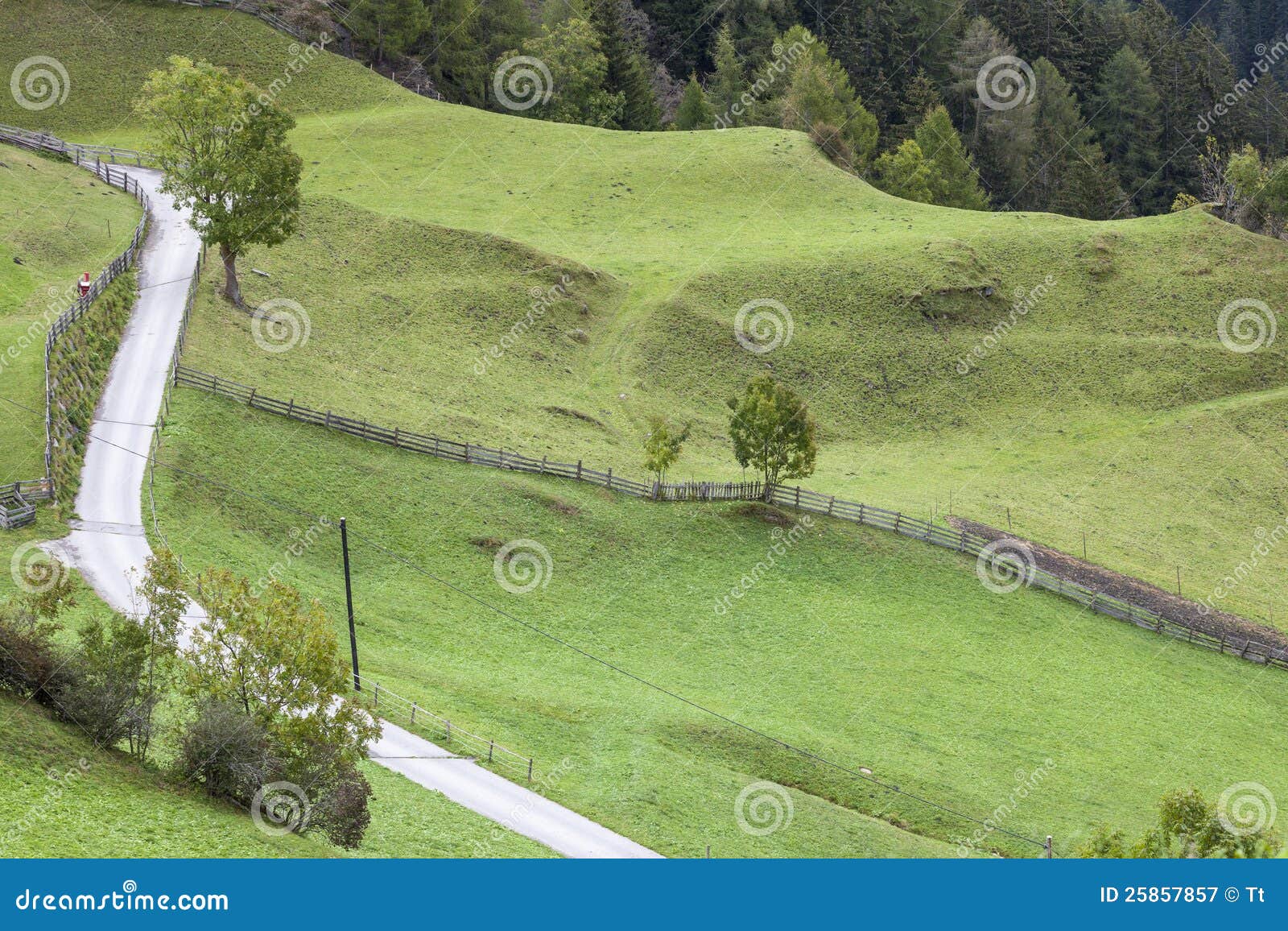 View of meadows and a road stock image. Image of dirt - 25857857