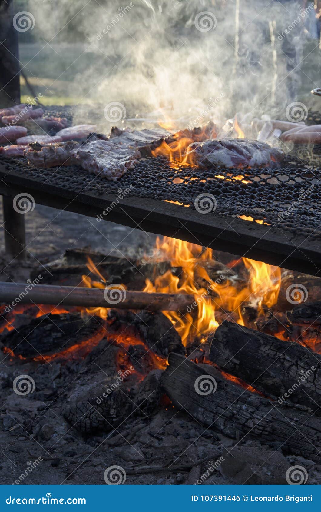 Meat baking on the fire stock photo. Image of good, fresh - 107391446