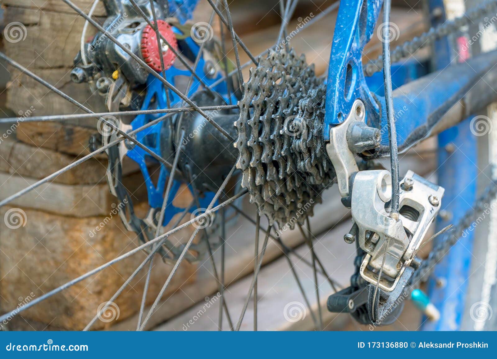 View of the Mechanism of the Rear Wheel of the Bicycle Stock Photo ...