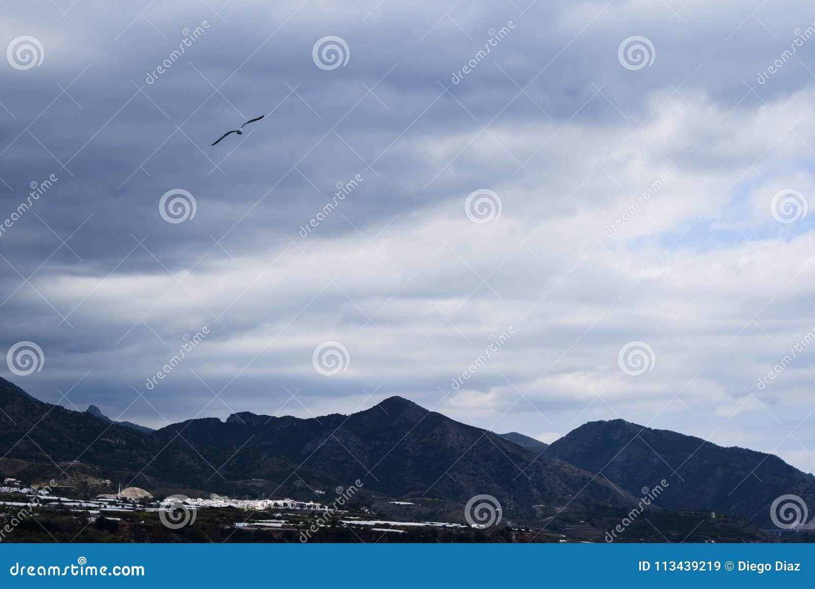 Landscape of Sea with Seagull Stock Image - Image of clear, horizon ...