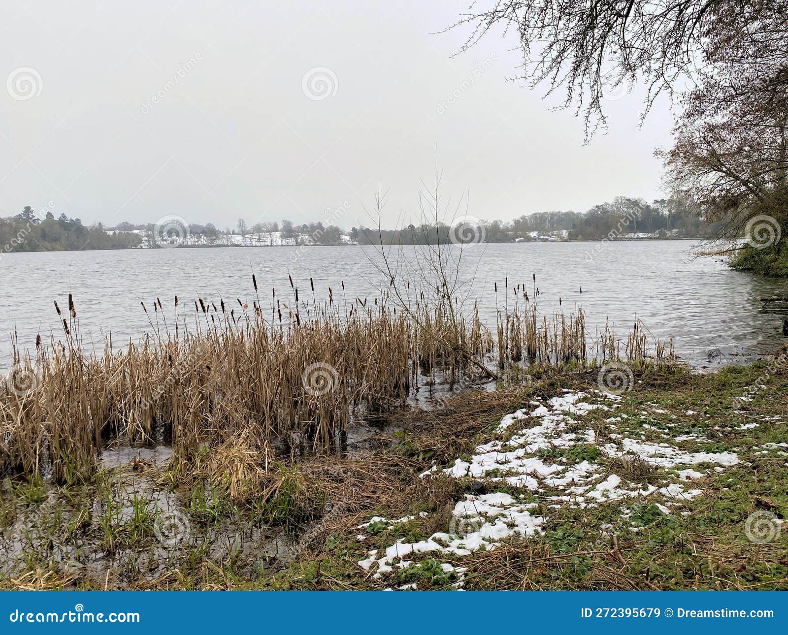 A View of the Mere at Ellesmere Stock Image - Image of mere, water ...