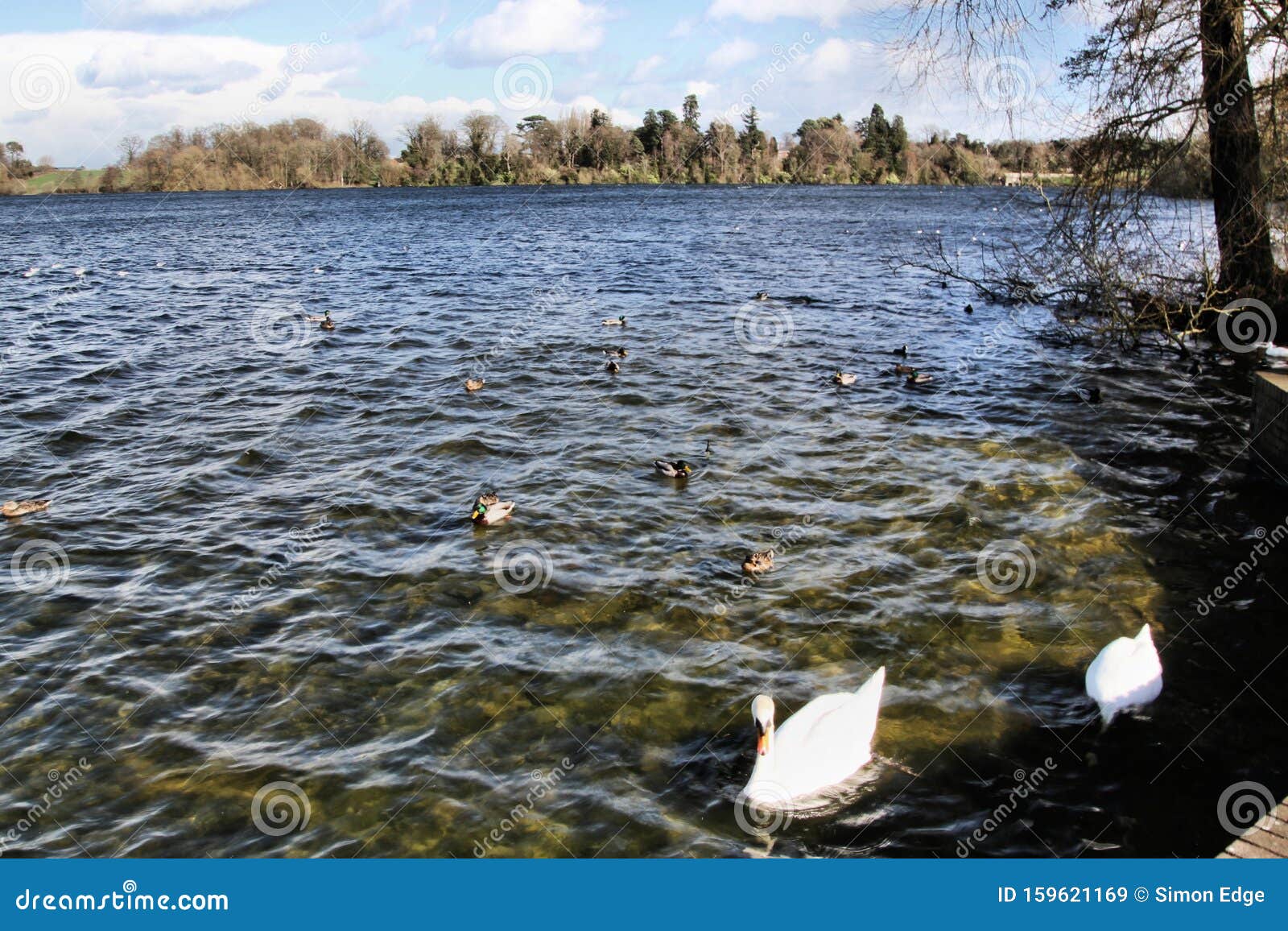 A View of the Mere at Ellesmere Stock Image - Image of view, lake ...