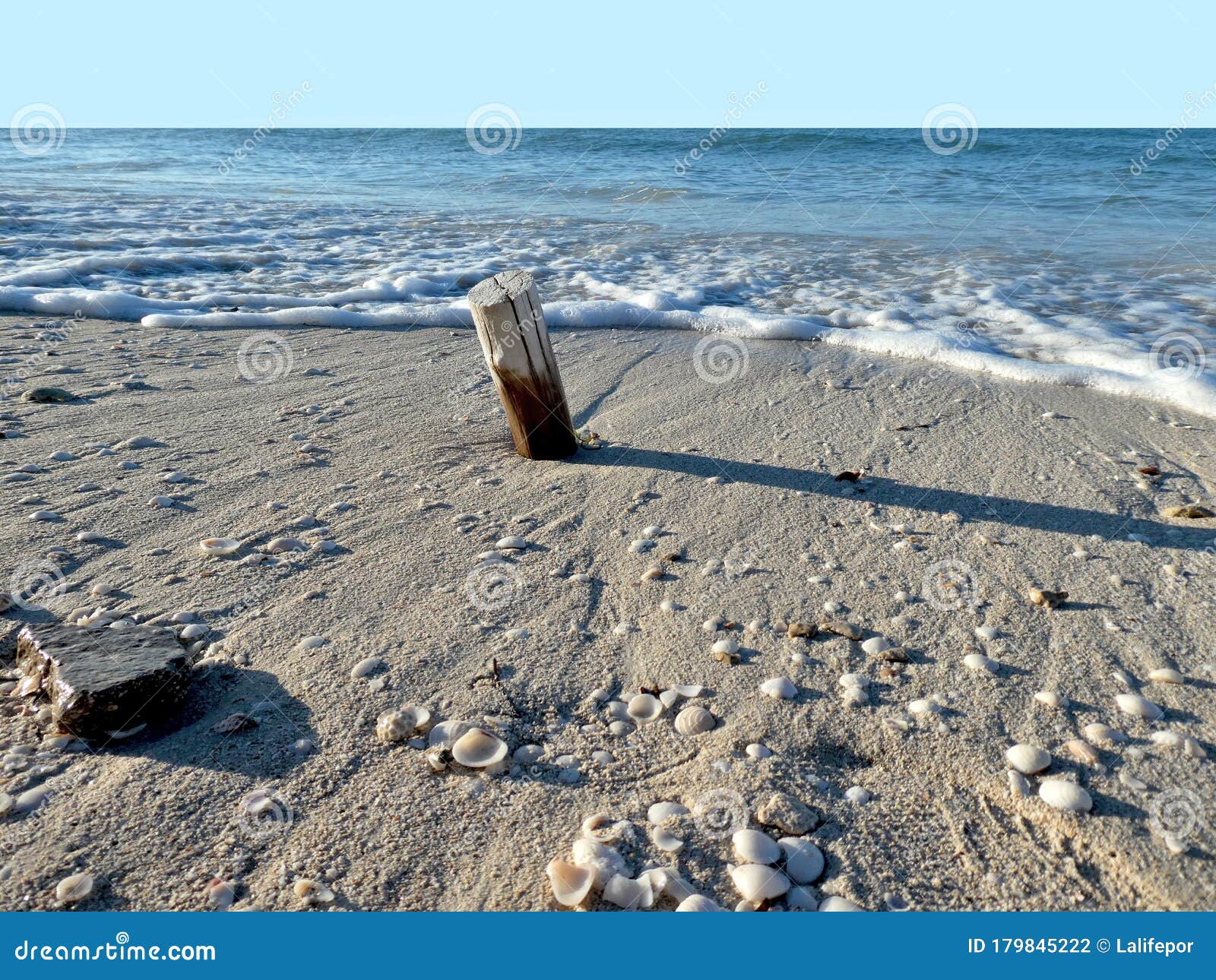 View of Mexican Beach with Shells Stock Photo - Image of sandy, golden ...
