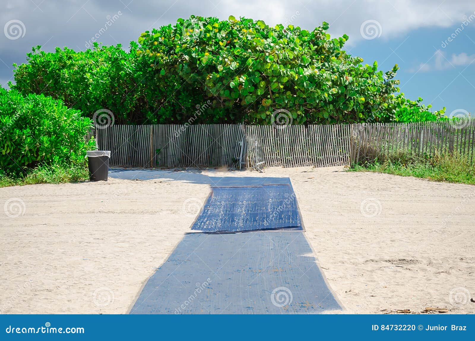 View of Miami Beach Sandy Path with Palm Trees Stock Photo - Image of ...
