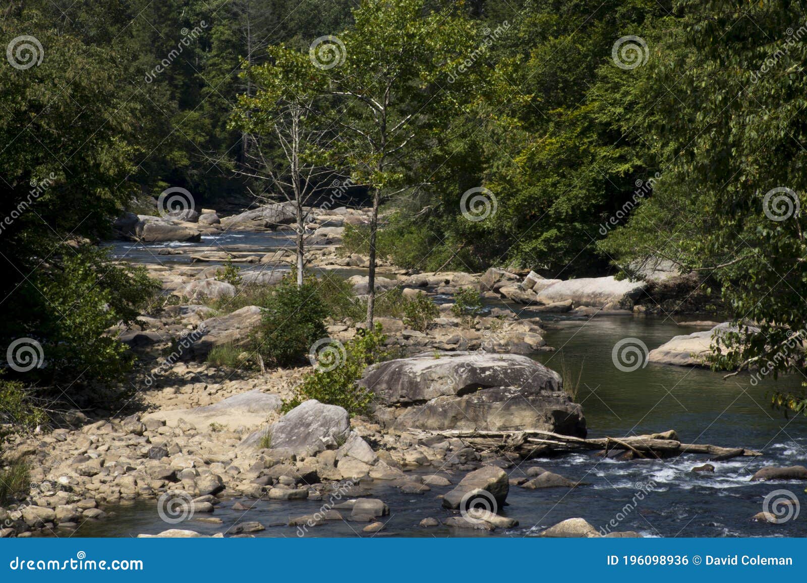 Scenic View of Middle Fork River Stock Photo - Image of scenic, stretch ...