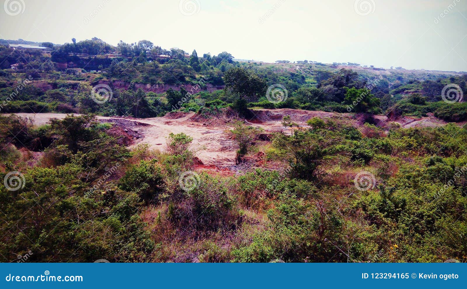 View mining trees water stock image. Image of mountain - 123294165
