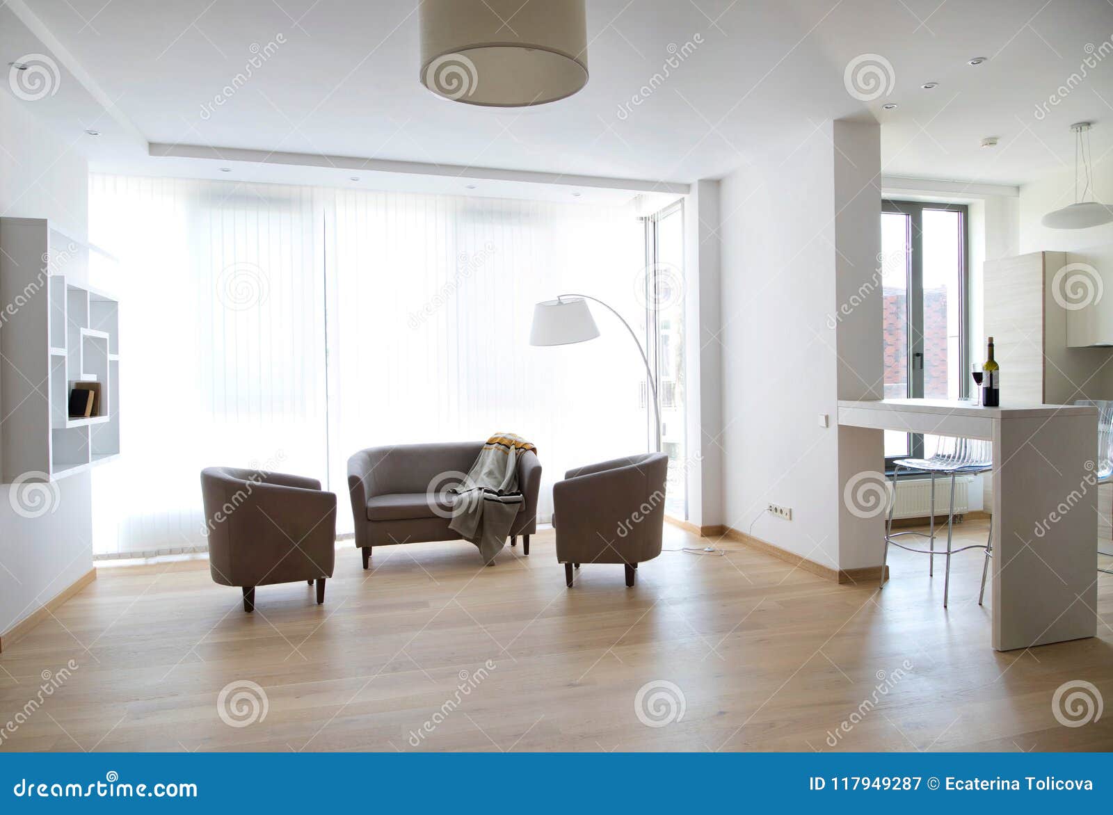 View on a Modern Living Room. Stock Image - Image of sofa, light: 117949287