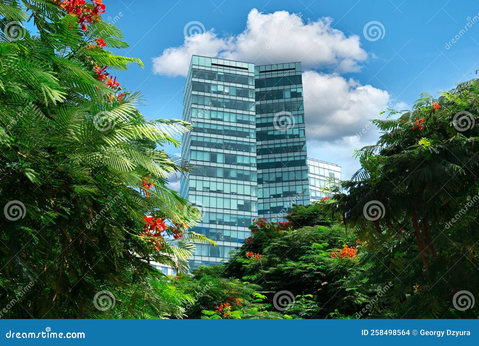 View of a Modern Skyscraper with Green Trees with Red Flowers on the ...
