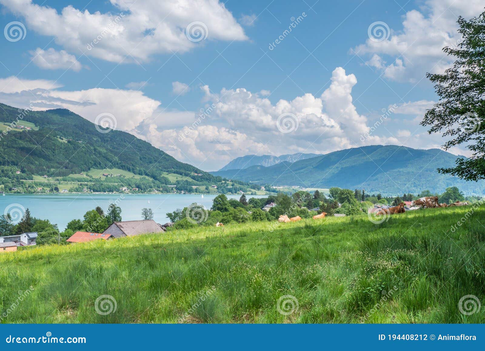 View of the Mondsee Austria Stock Photo - Image of salzburger, scenic ...