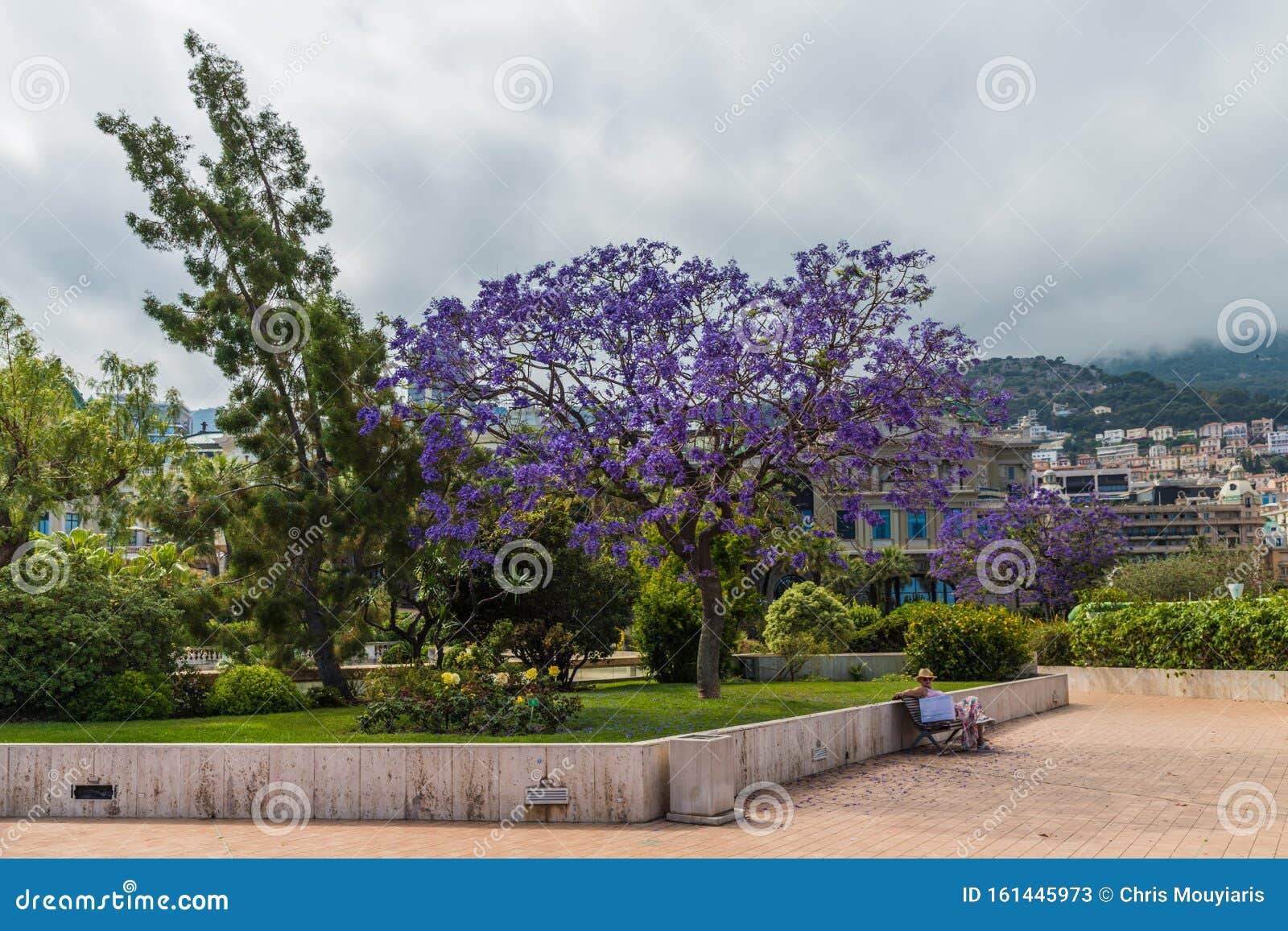 A View in Monte Carlo in Monaco Editorial Stock Photo - Image of ...