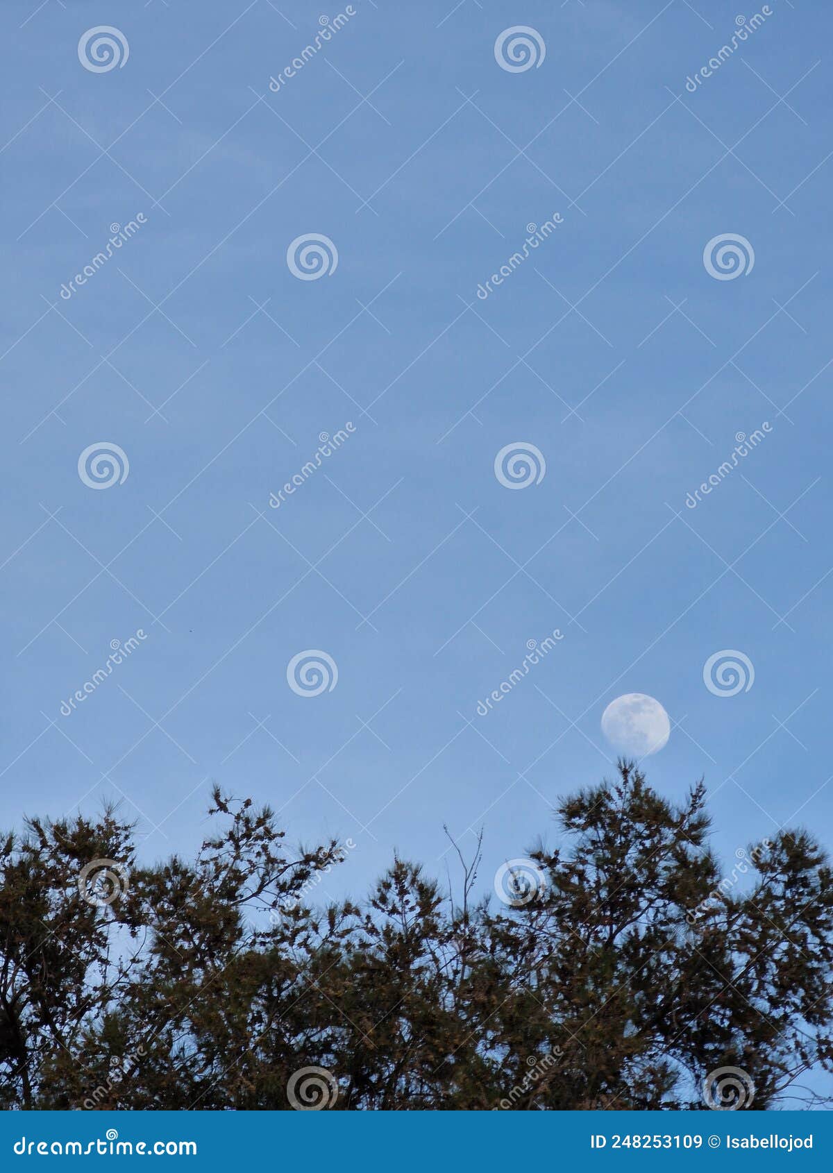 View of the Moon that Appeared on My Balcony between Branches. Stock ...