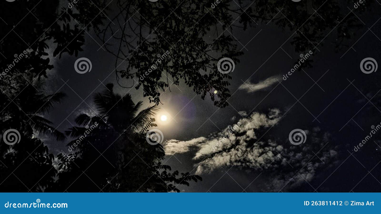 View of the Moon Behind the Trees at Night Stock Photo - Image of black ...