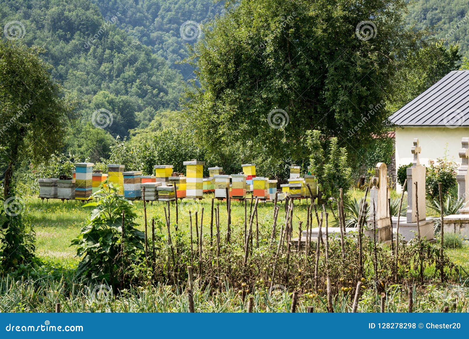View on Moraca Monastery Apiary and Garden Stock Photo - Image of ...