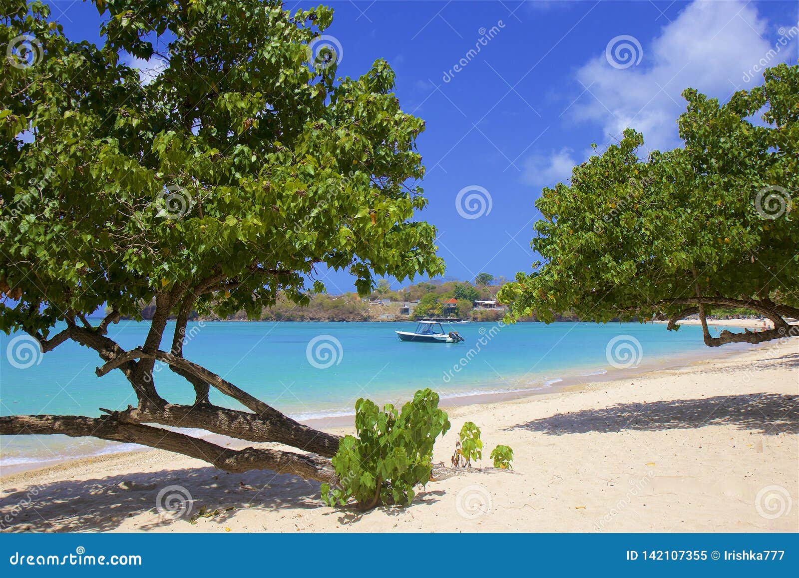 Morne Rouge Beach in Grenada, Caribbean Editorial Image - Image of ...