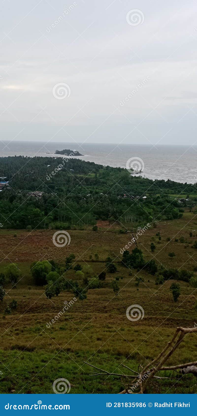 View in the Morning from Hill Stock Photo - Image of tree, shore: 281835986