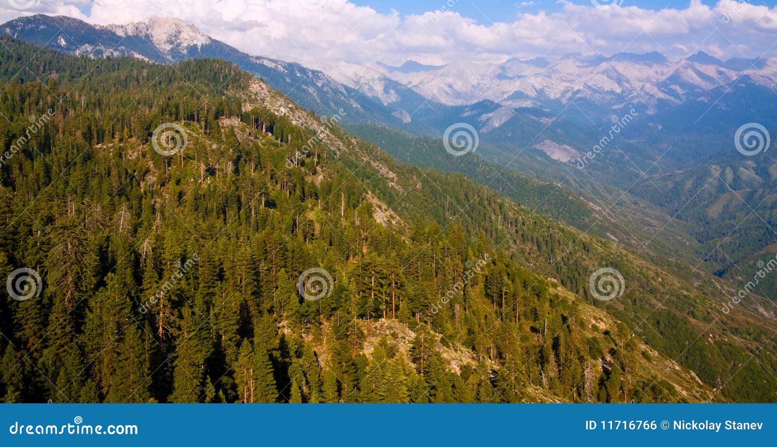 View From The Top Of Moro Rock With Its Solid Rock Texture, Overlooking ...