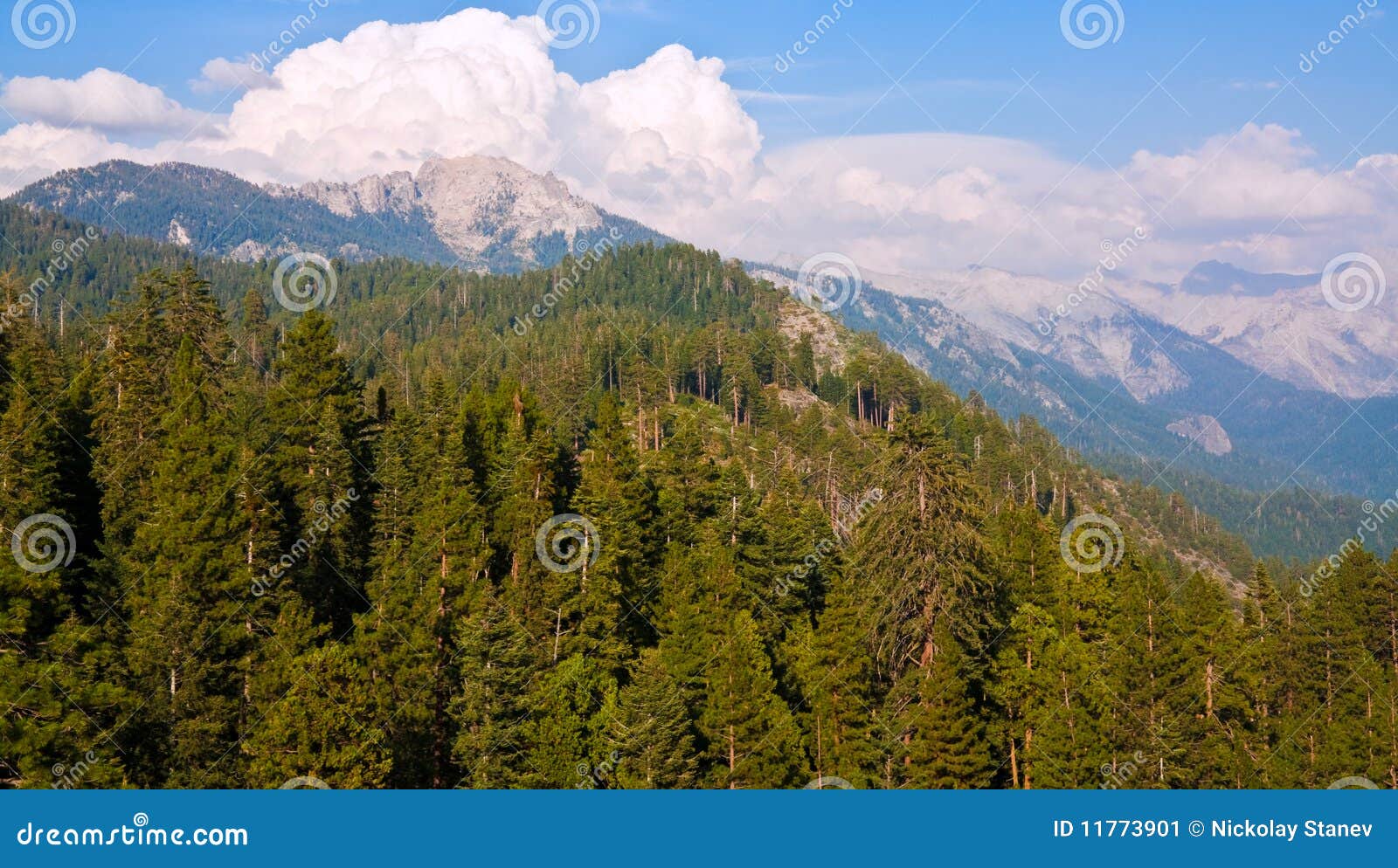 View From The Top Of Moro Rock With Its Solid Rock Texture, Overlooking ...