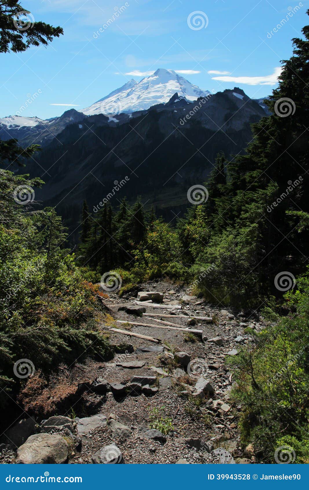 View of Mount Baker stock photo. Image of peace, hiking - 39943528