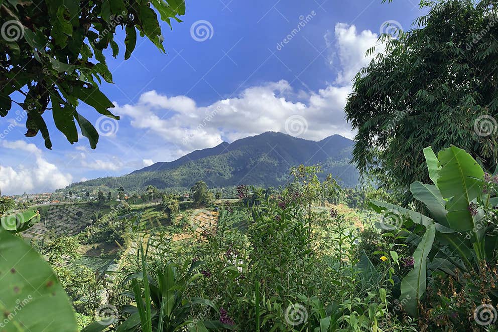 View of Burangrang Mountain from a Distance Stock Image - Image of ...