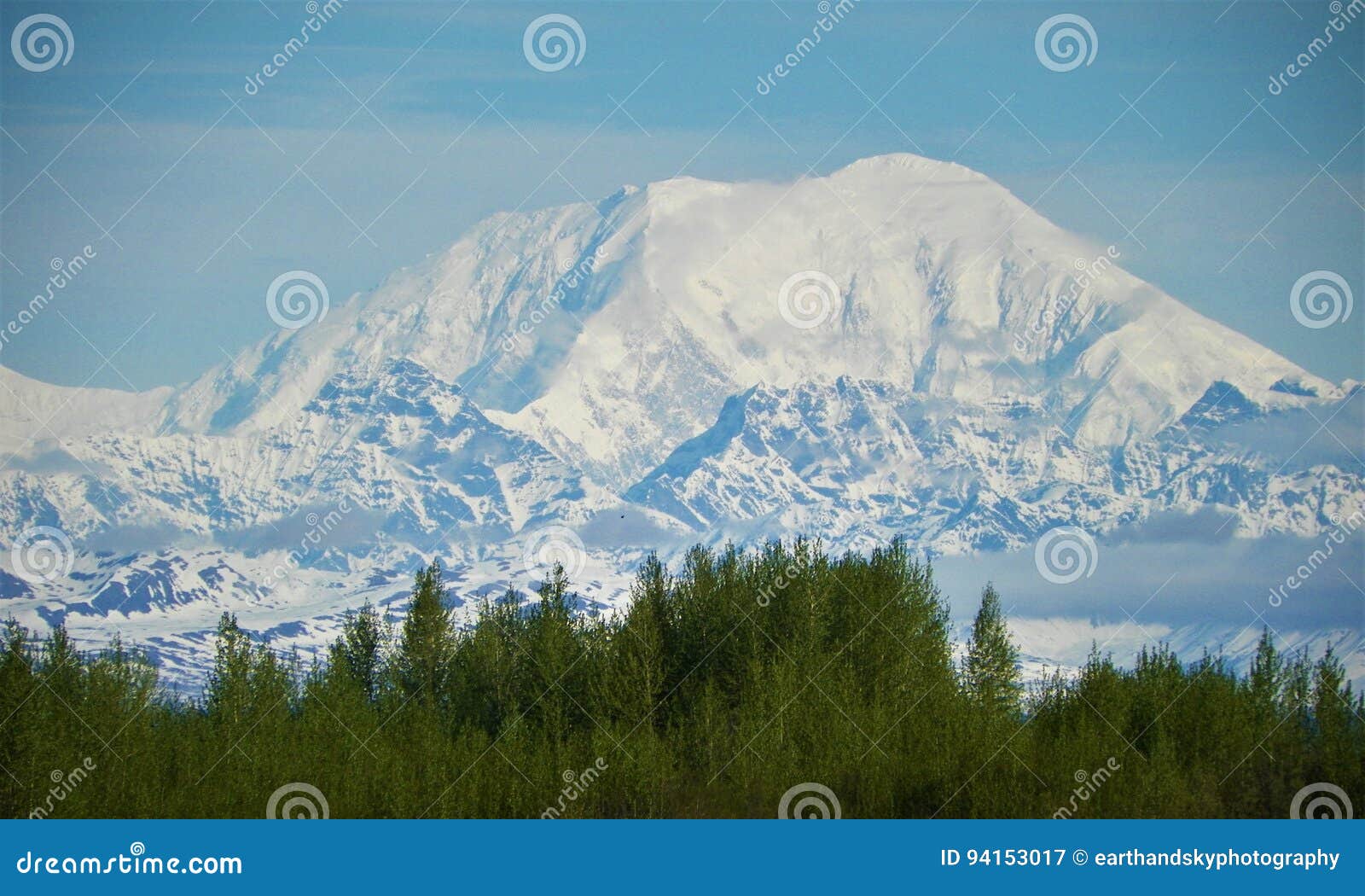 View of Mount Denali Summit Stock Image - Image of forest, national ...
