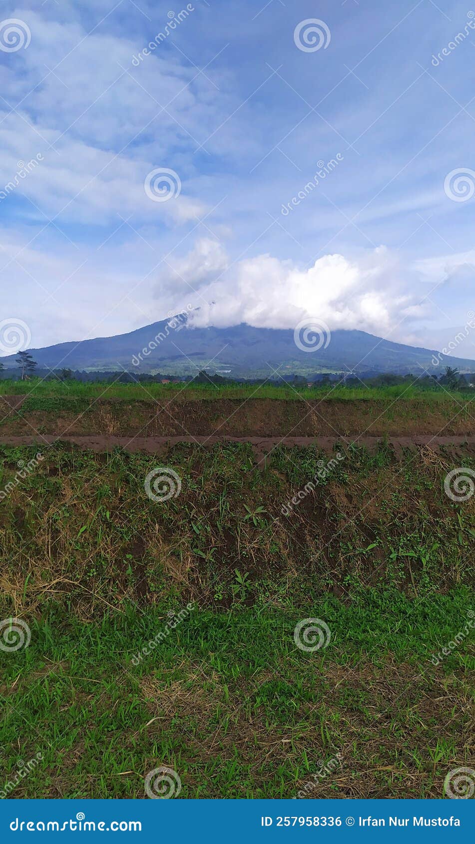 View of Mount Gede Pangrango Whose Peak is Covered by Clouds with a ...