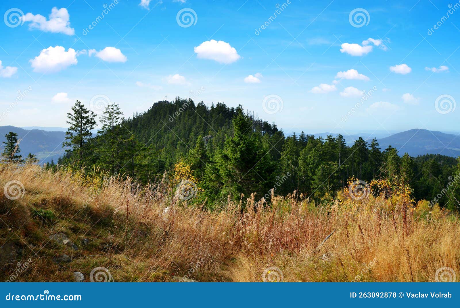 National Park Bayerischer Wald, Germany. Stock Photo - Image of ...