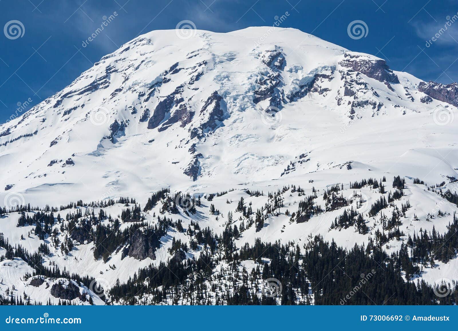 View of Mount Rainier Summit Covered by Snow Washington USA Stock Photo ...
