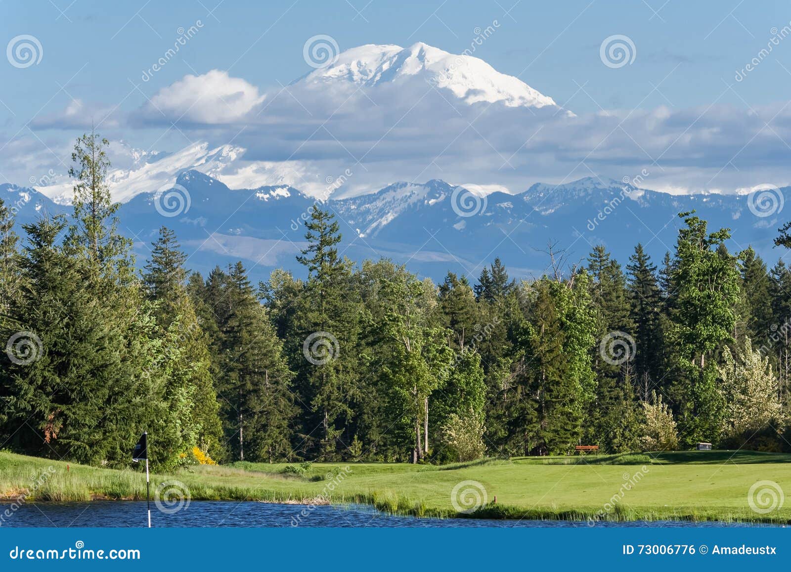 View of Mount Rainier Summit Washington USA Stock Photo - Image of ...