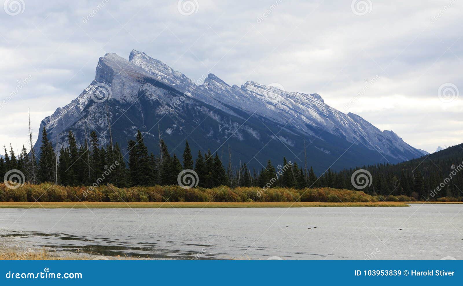 View of Mount Rundle Near Banff, Canada Stock Image - Image of outdoors ...