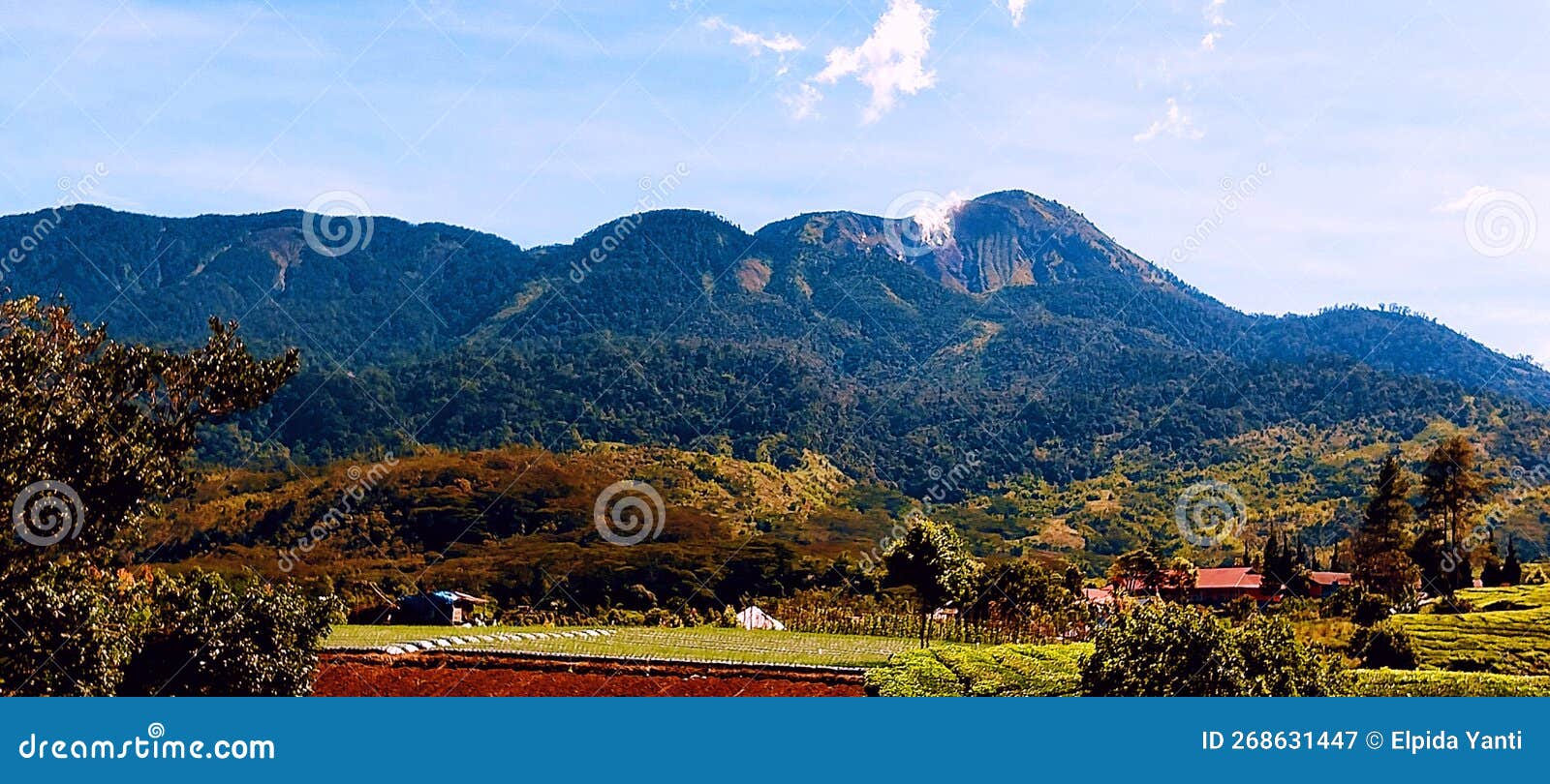 View of Mount Talang from a Tea Garden in West Sumatra, Indonesia Stock ...