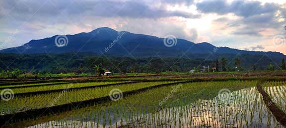 View of Mount Tampomas stock image. Image of beauty - 221818163