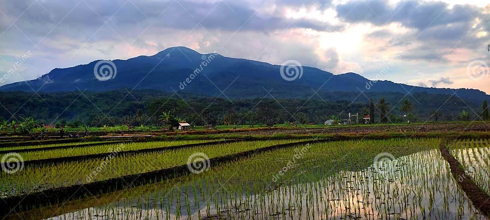 View of Mount Tampomas stock image. Image of beauty - 221818163