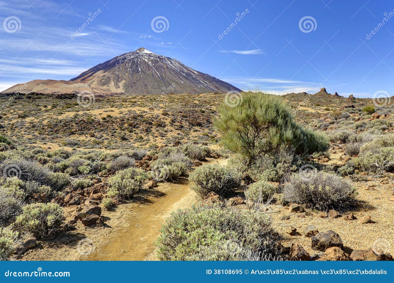View of mount Teide stock image. Image of hill, park - 38108695