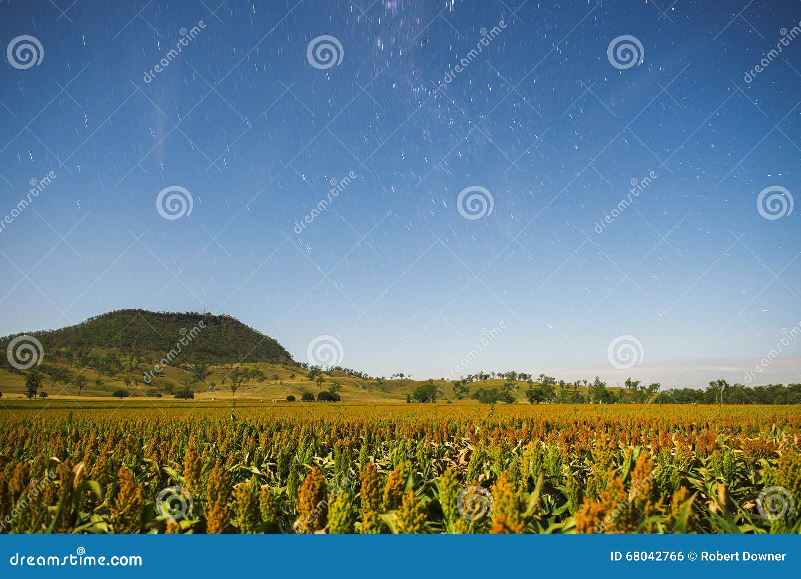 View of Mount Walker at Night Stock Photo - Image of destination, light ...