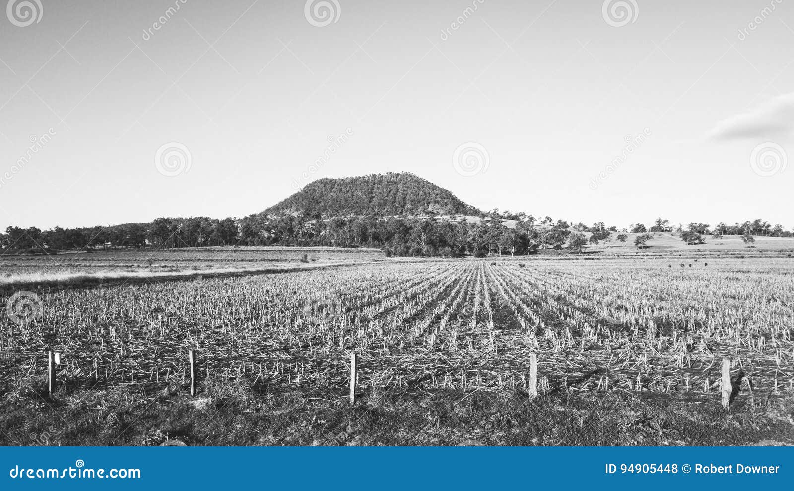 View of Mount Walker, Queensland Stock Photo - Image of nature ...