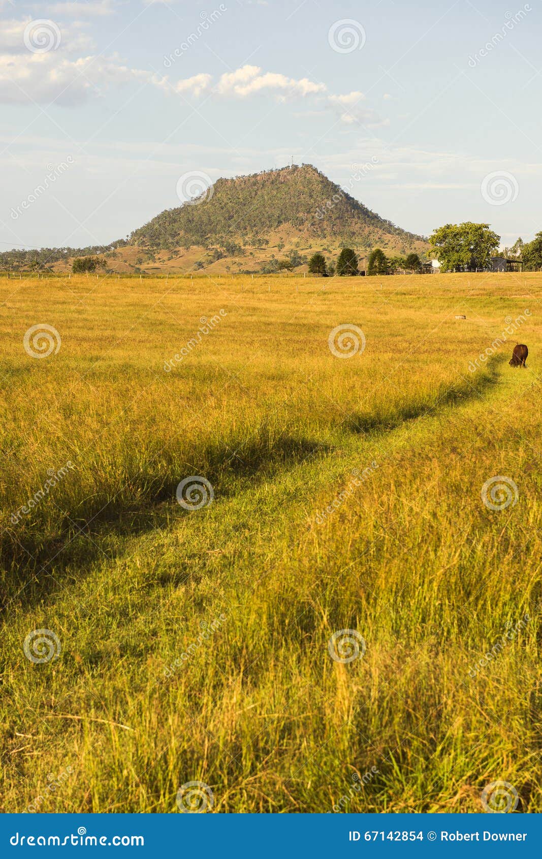 View of Mount Walker and Sorghum Stock Photo - Image of destination ...