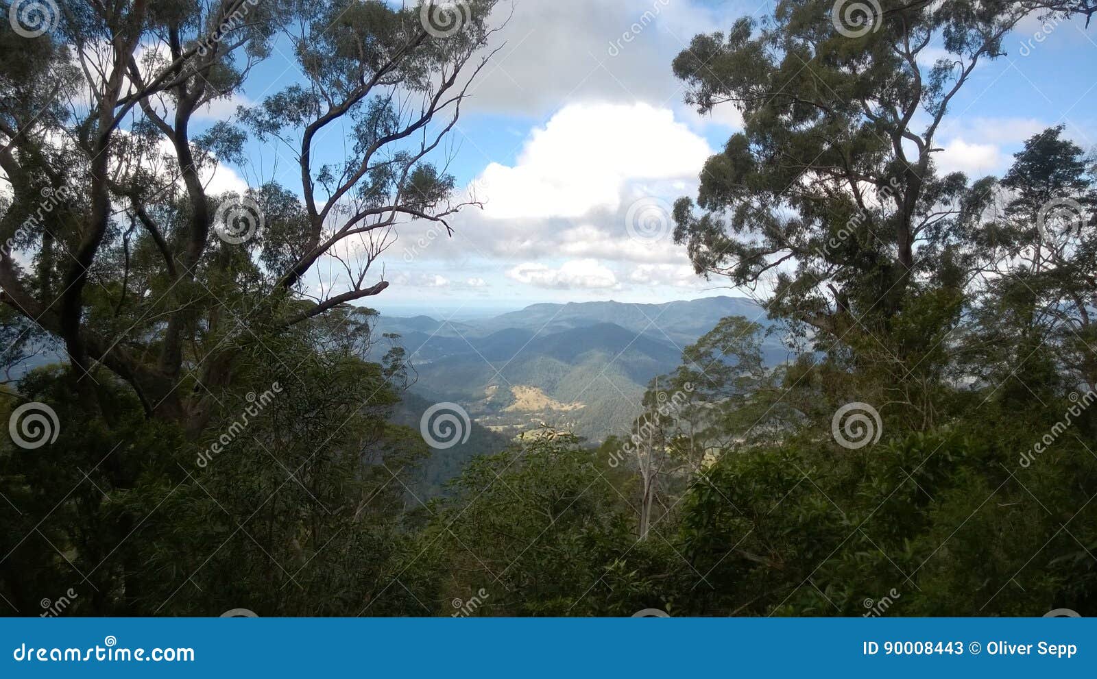 Mount Warning Stock Photography | CartoonDealer.com #39123674