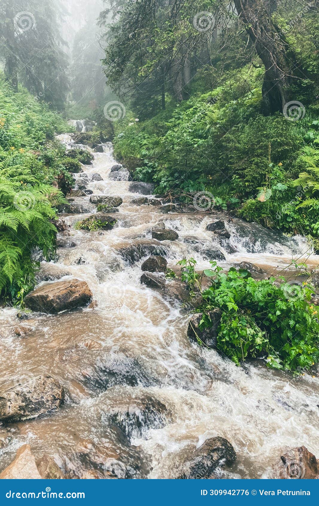 View of Mountain Creek at Rainy Storm Stock Photo - Image of overcast ...