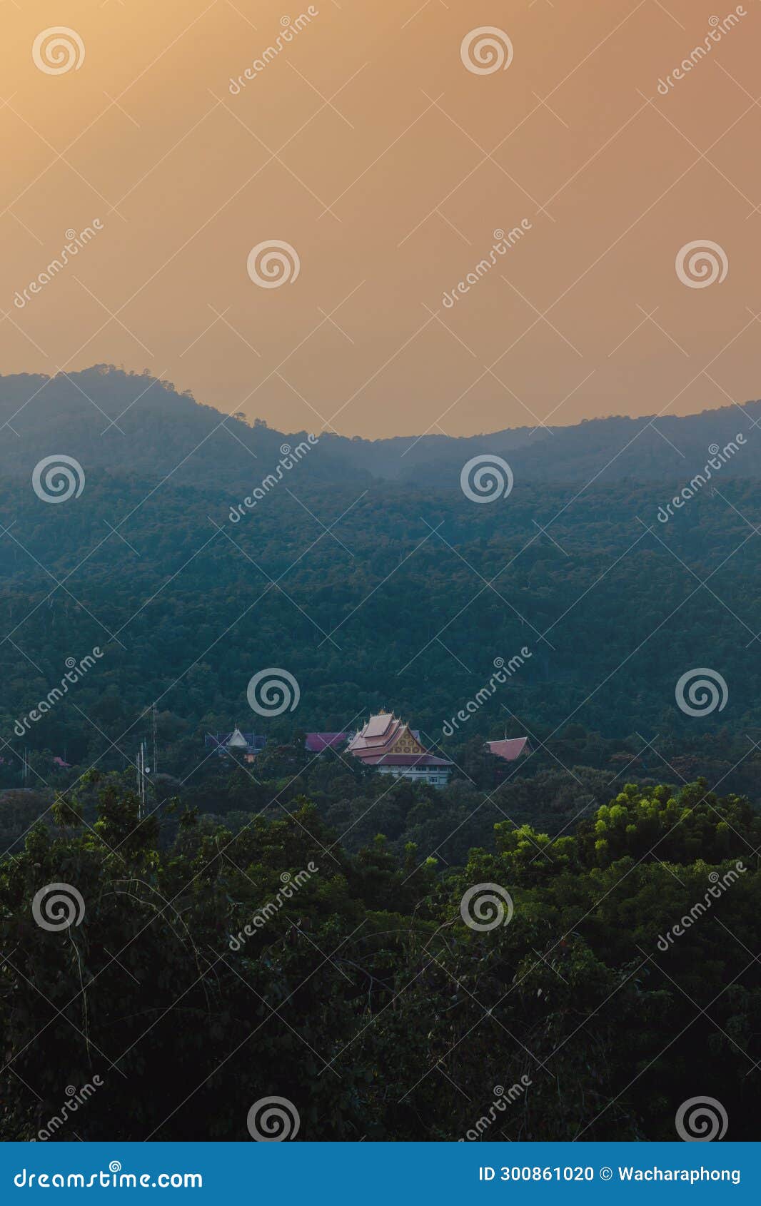 A View of the Mountain Forest Stock Photo - Image of beautiful, hiking ...