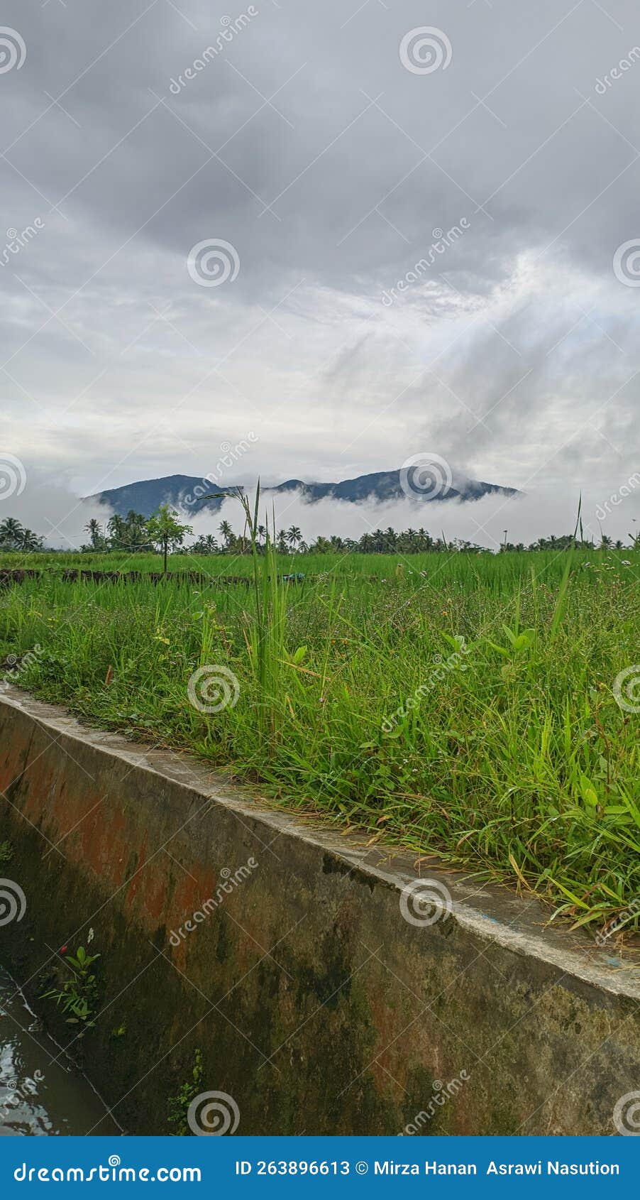 View of Mountain and Rice Field in Cloudy Sky Stock Image - Image of ...