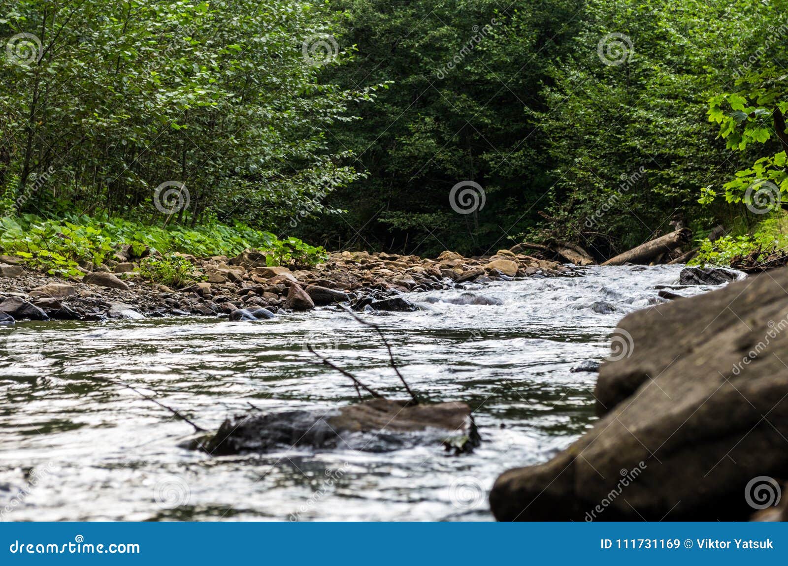 View of a Mountain River with a Foreground. Stock Image - Image of ...