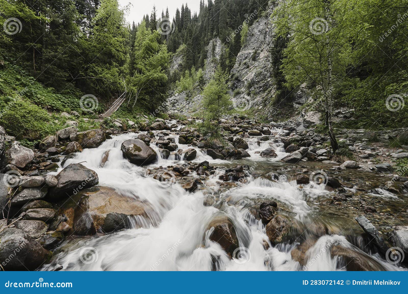 View of the Mountain River with a Strong Current and Rifts. River is ...